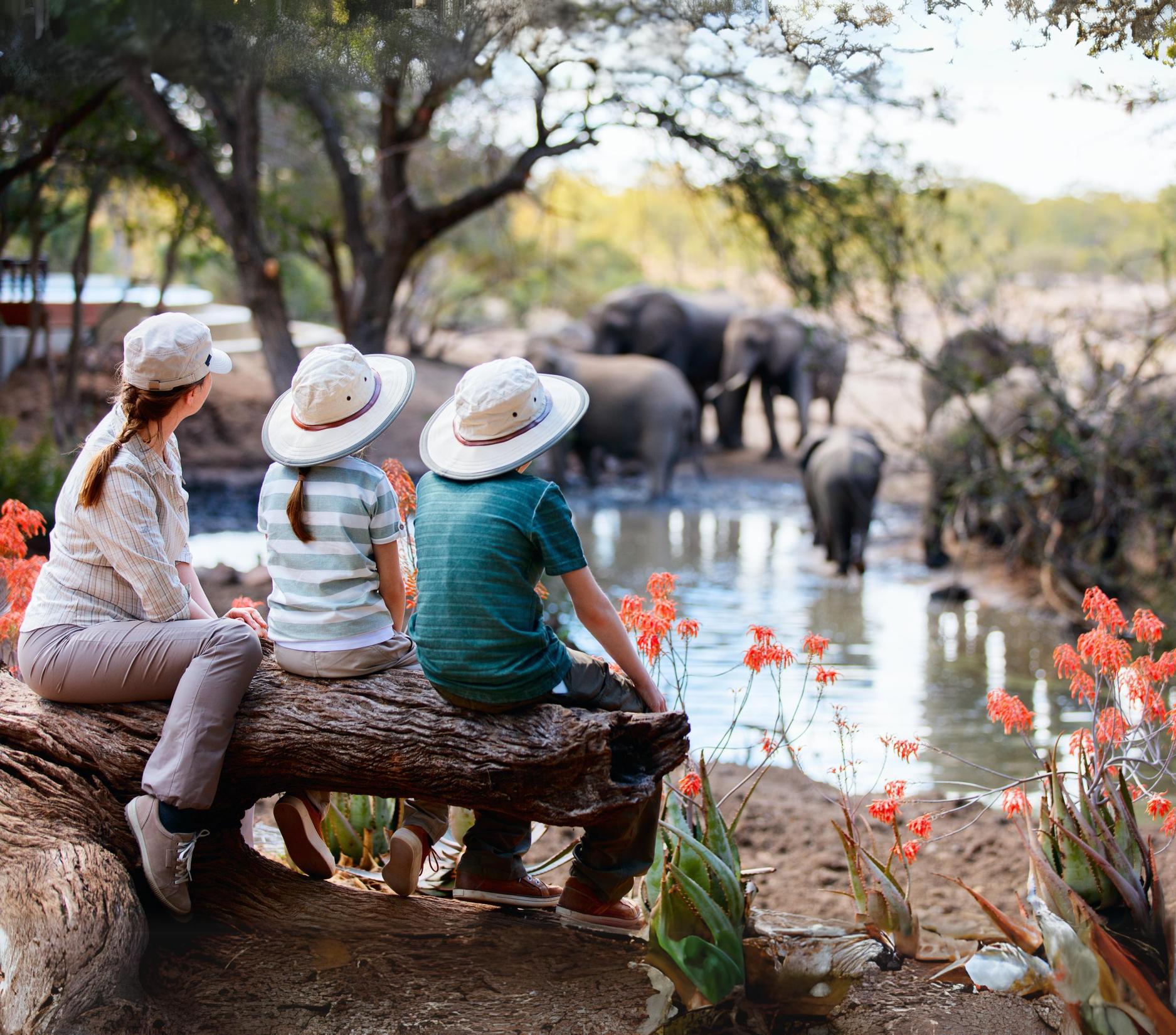 Home - Camp Wildside